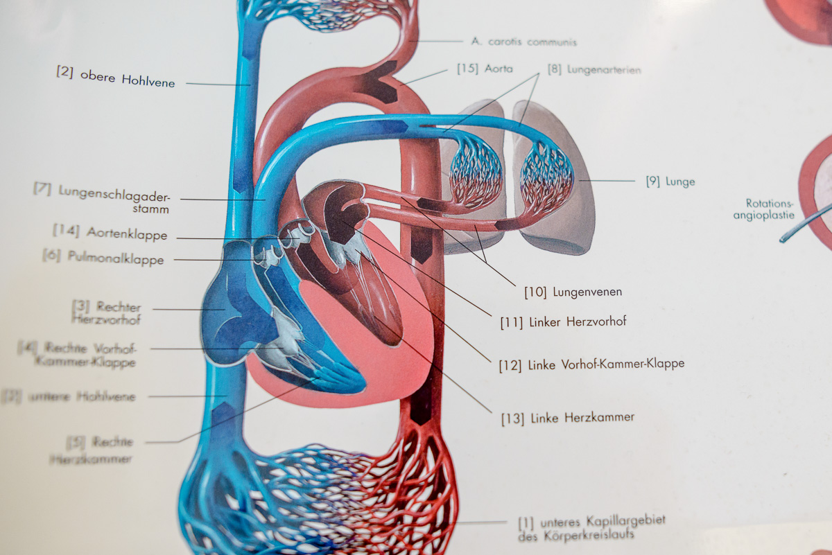 Untersuchungen - Kardiozentrum Köln - Kardiologie